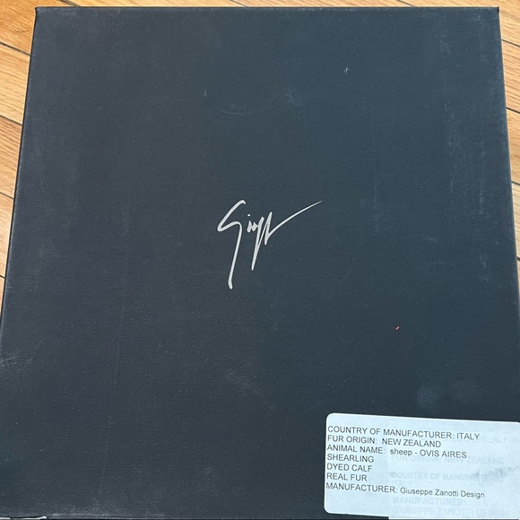 Giuseppe Zanotti | Shoes | Authentic Giuseppe Zanotti Clogs | Poshmark